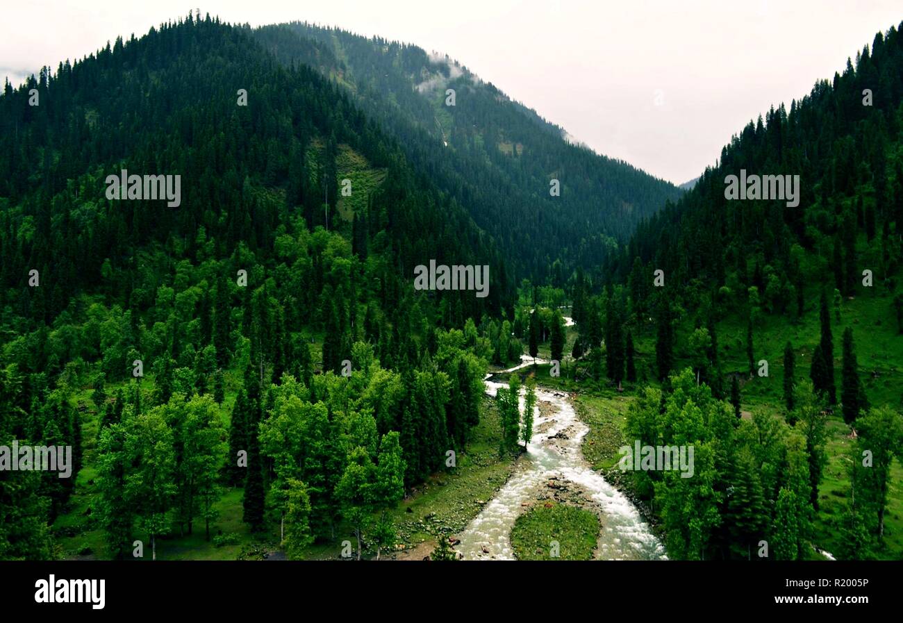 Green land beautifully Stock Photo - Alamy
