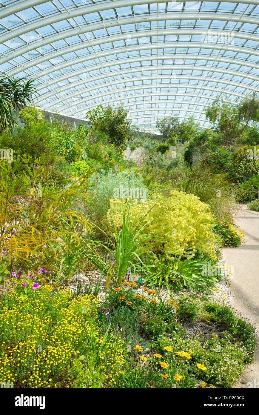 Exotic plants among horticultural exhibits within The Great Glasshouse ...