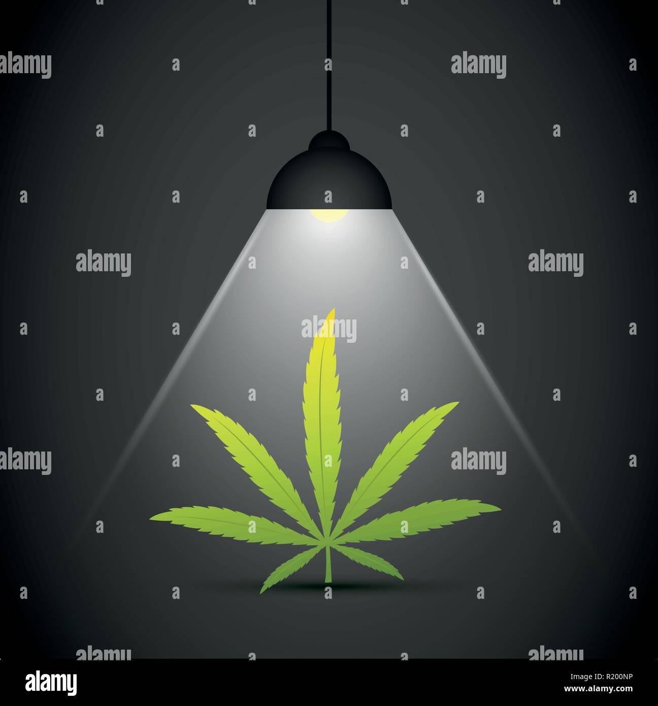 Cannabis sativa leaf Stock Vector Images - Alamy