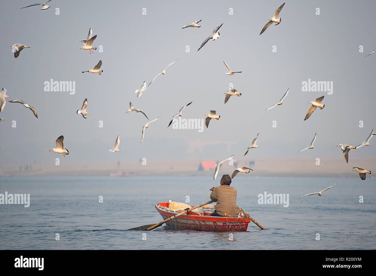 Old man on boat india hi-res stock photography and images - Alamy