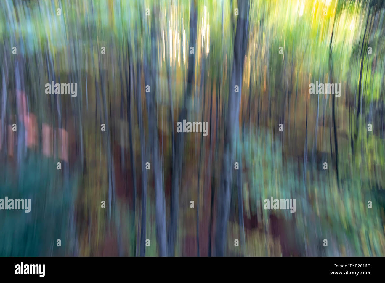 Green vertical gradient background design hi-res stock photography and ...