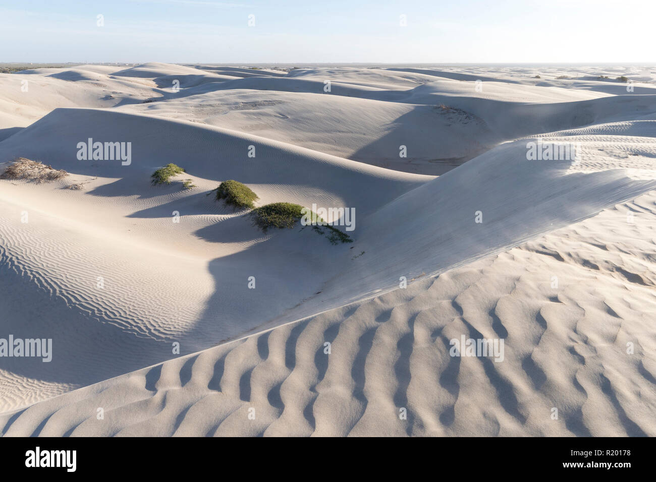 Sand dunes of Dunas de Soledad. Central America, Mexico, Baja ...