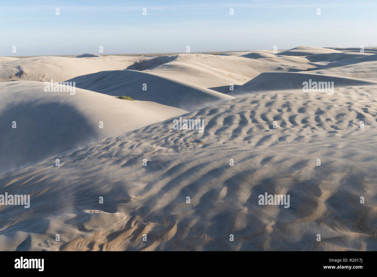 Sand dunes of Dunas de Soledad. Central America, Mexico, Baja ...