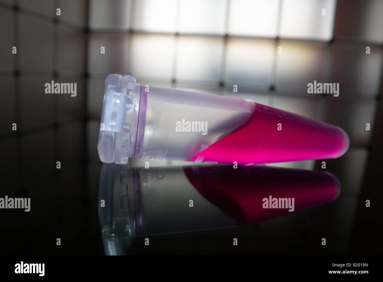 PCR microtubes in genetic lab Stock Photo - Alamy