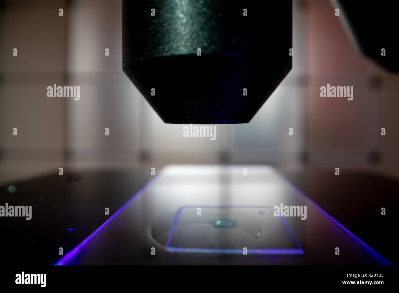 Close up microscope objective and slide Stock Photo - Alamy