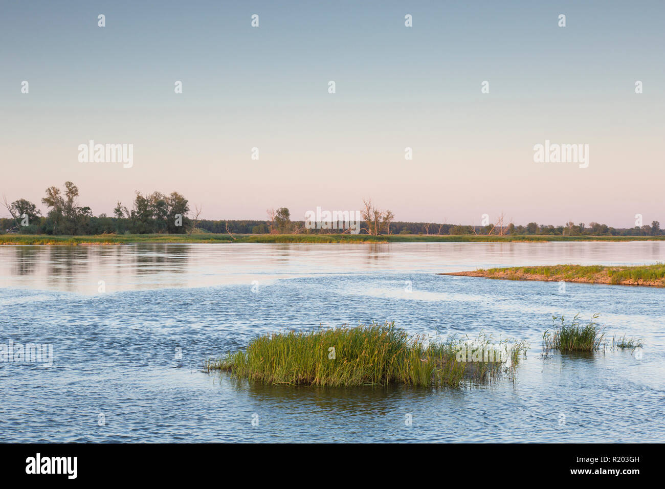River oder in evening light oderbruch hi-res stock photography and ...