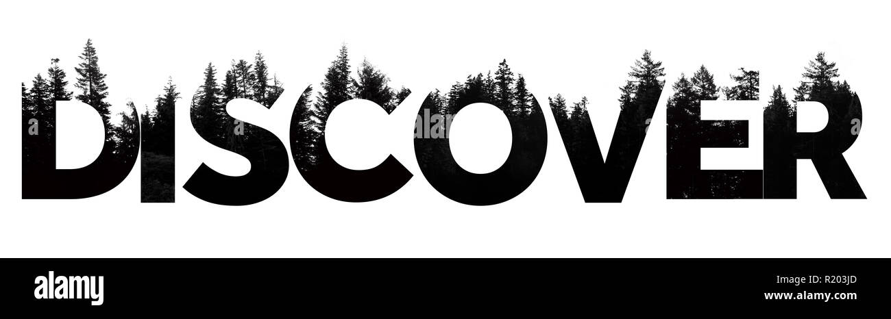 Discover word made from outdoor wilderness treetop lettering Stock ...
