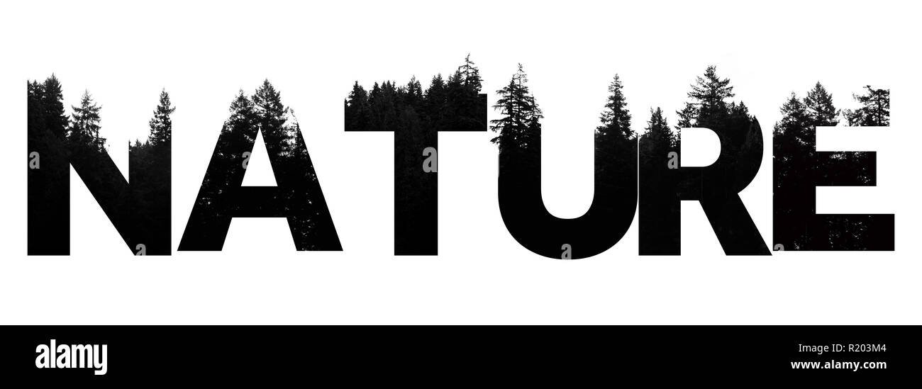 Nature word made from outdoor wilderness treetop lettering Stock Photo ...