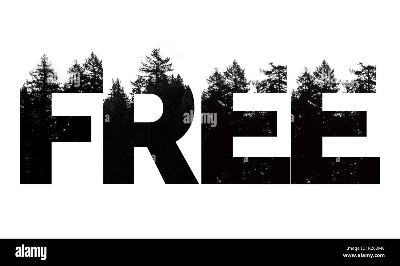 Free word made from outdoor wilderness treetop lettering Stock Photo ...