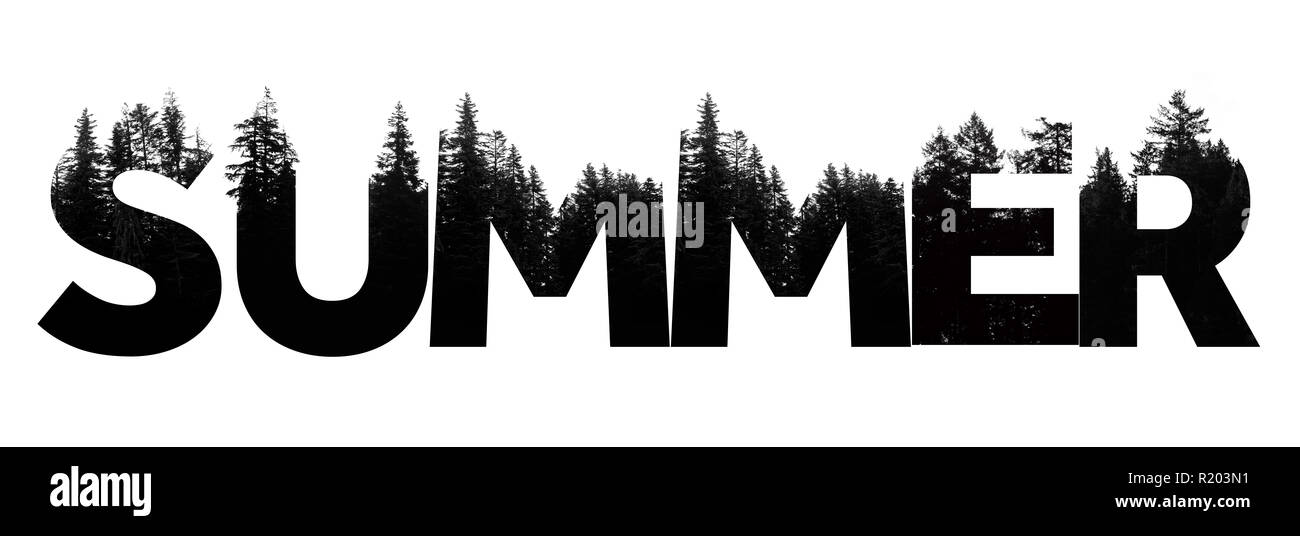 Summer word made from outdoor wilderness treetop lettering Stock Photo ...