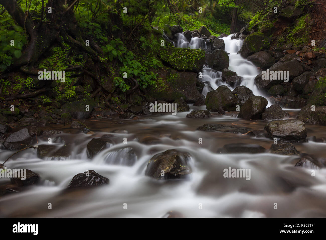 Monsoon landscapes around Tamhini Ghat and Mulshi Dam in western ghats ...