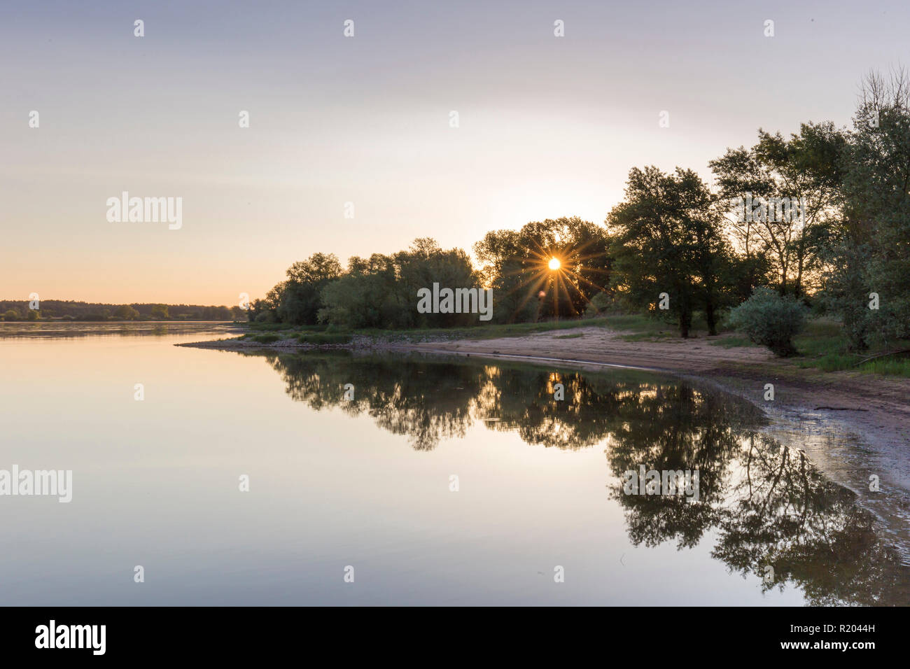 Morning at river Elbe at Lower Saxonian Elbe Valley, biosphere reserve ...