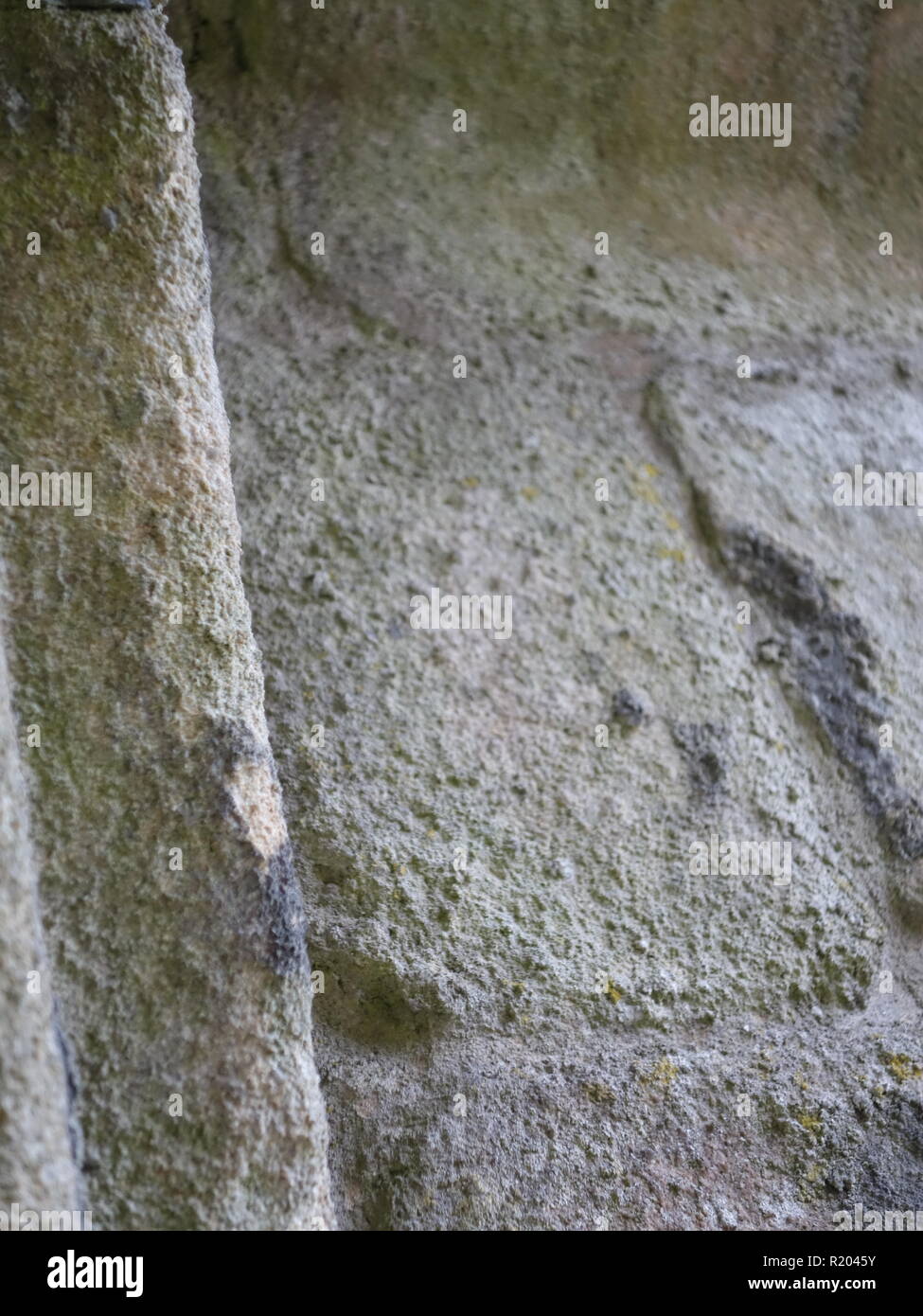 photogrpah from around the olf ruins of Bolton Abbey Stock Photo - Alamy