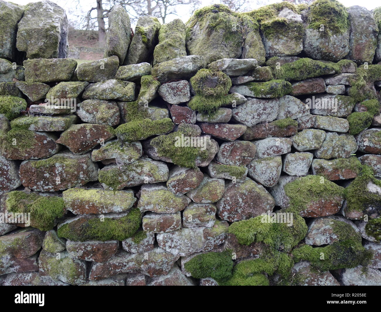 natural weathered wall in yorkshire, stone wall structure, destroyed ...