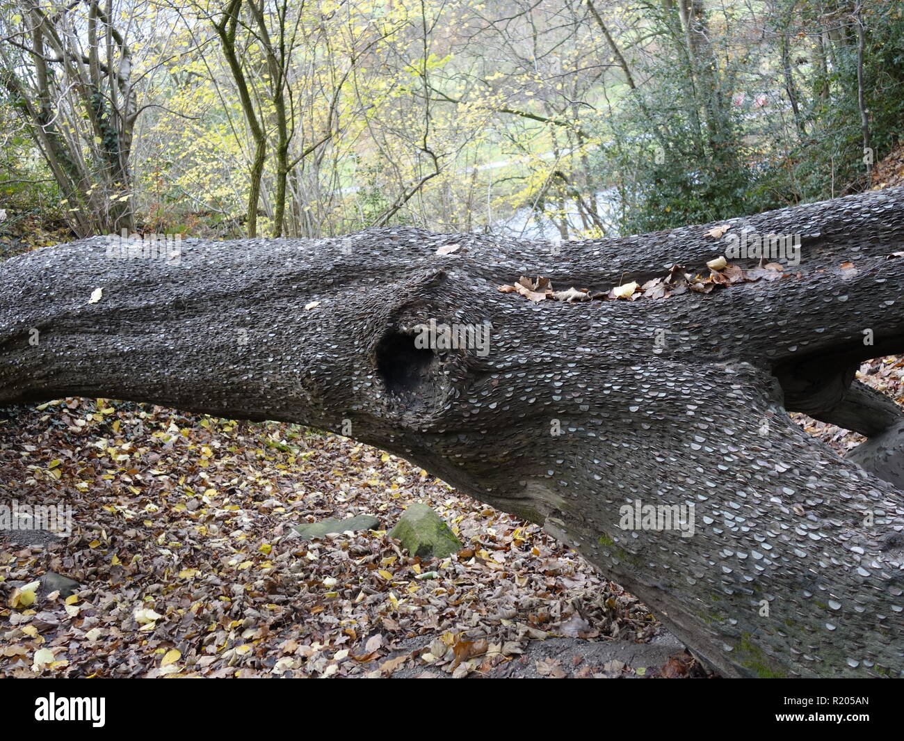 a british penny tree where pennies are hammered into a log for good ...