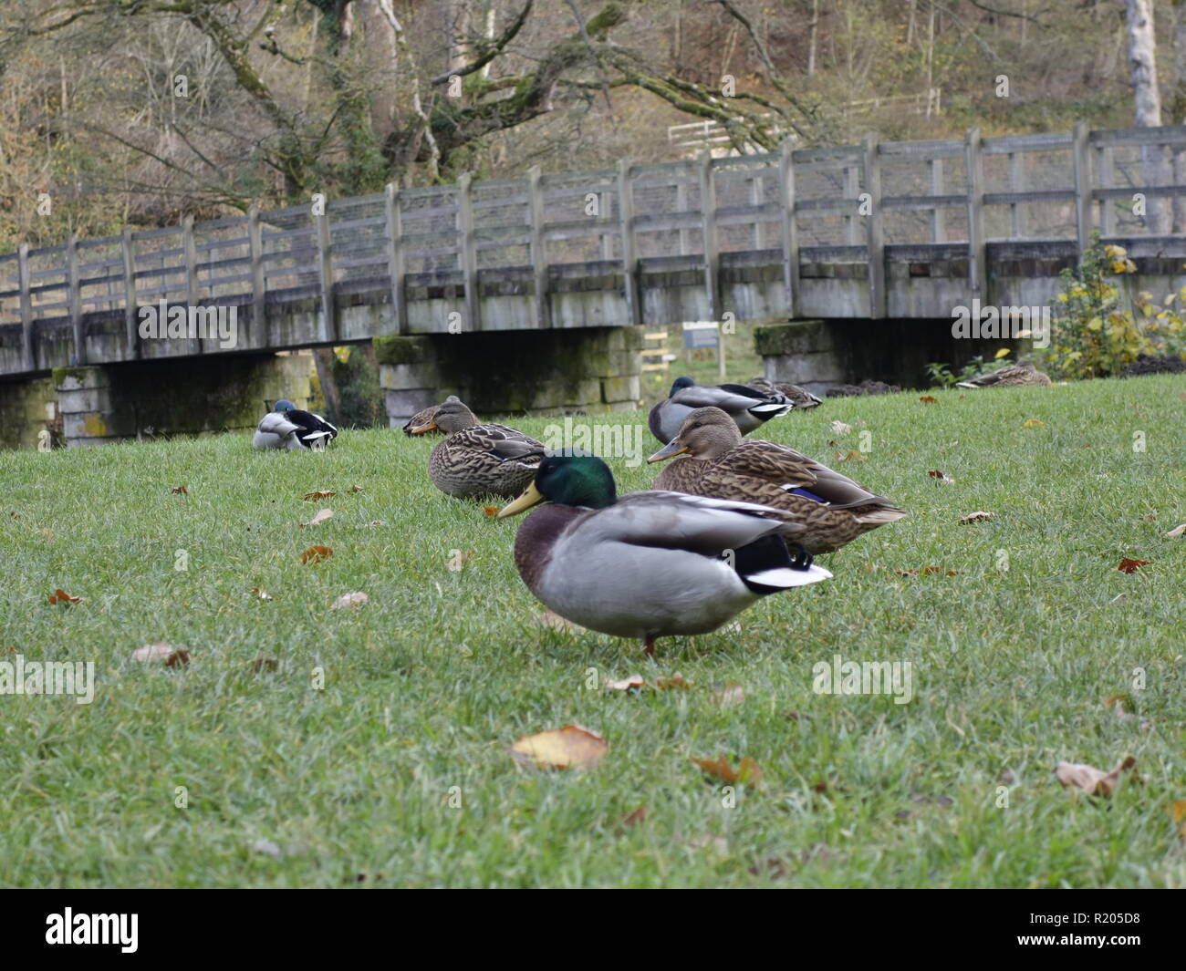 Yorkshire water logo hi-res stock photography and images - Alamy