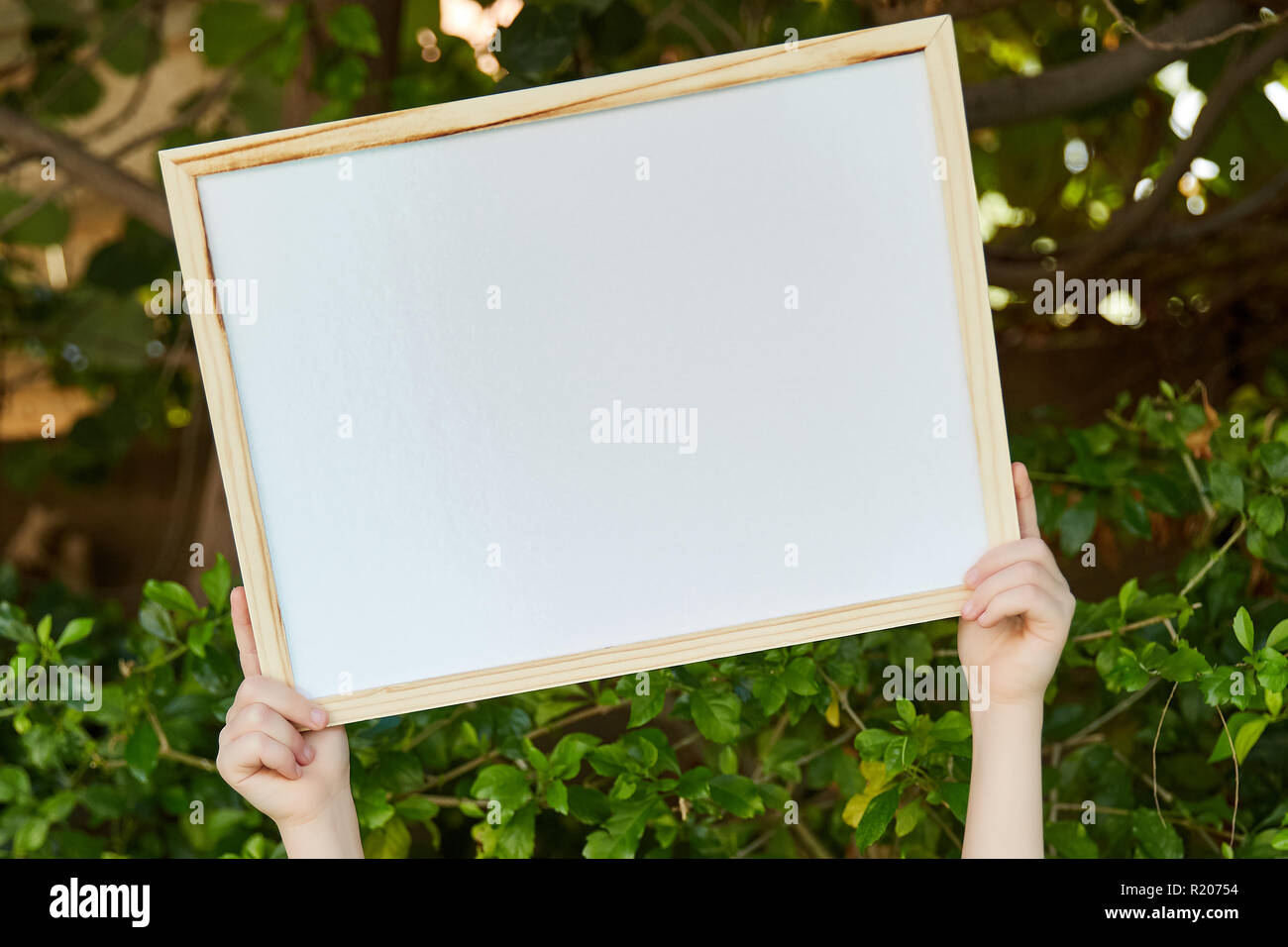 Crop person holding white board Stock Photo - Alamy