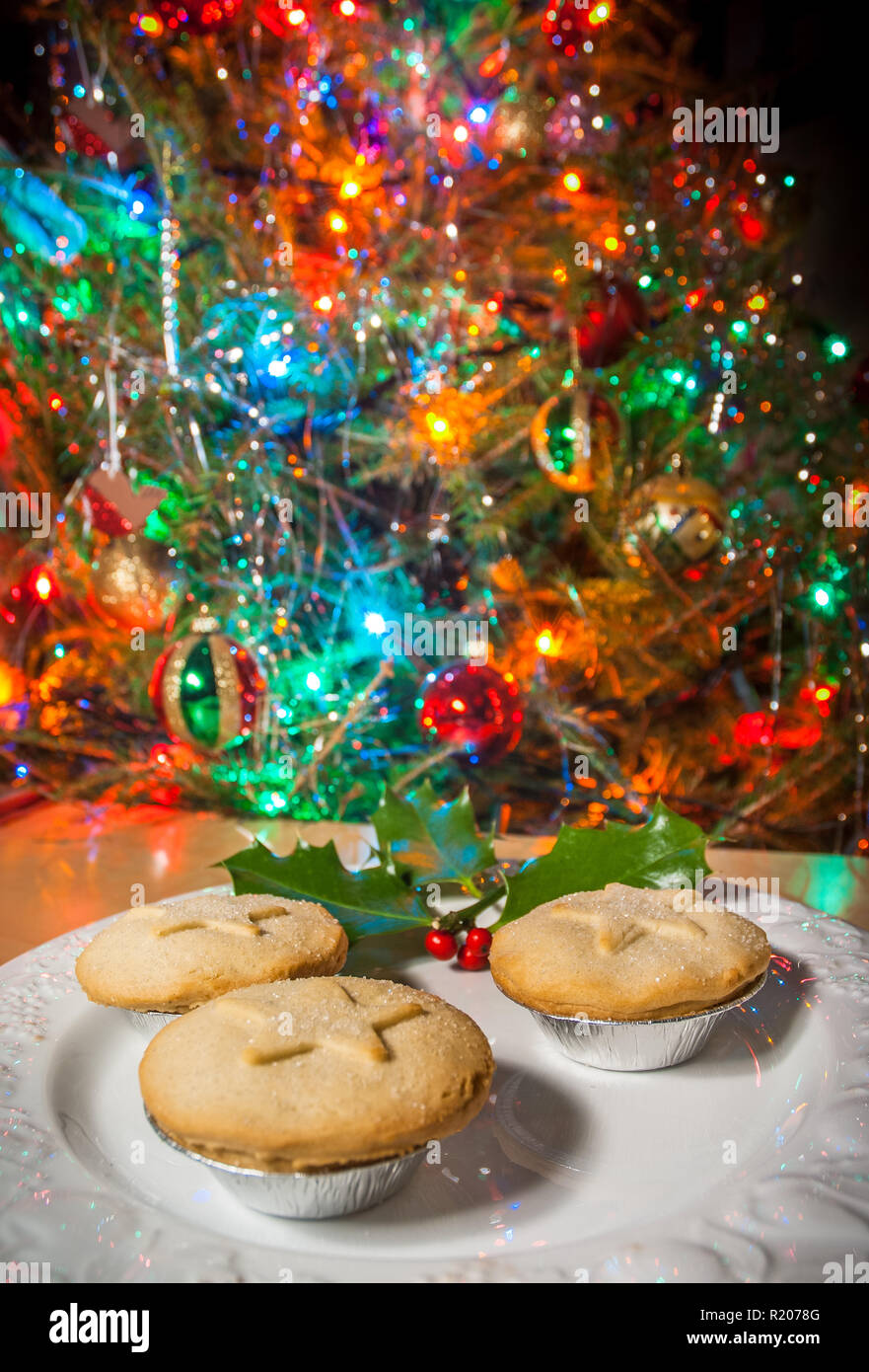 Lights Fairy Tree High Resolution Stock Photography and Images - Alamy