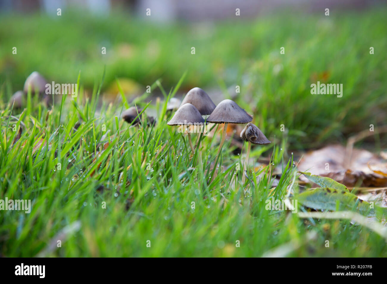 Eye level viewpoint hi-res stock photography and images - Alamy