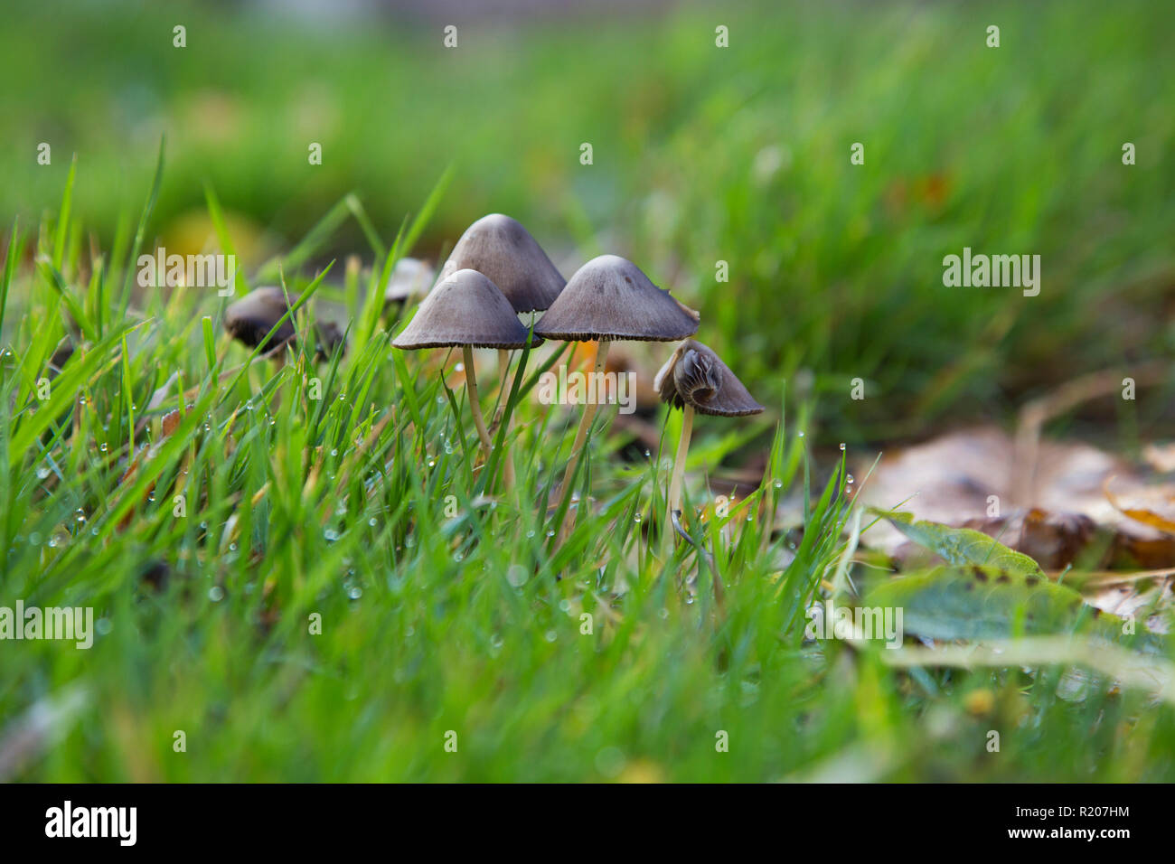 Eye level viewpoint hi-res stock photography and images - Alamy