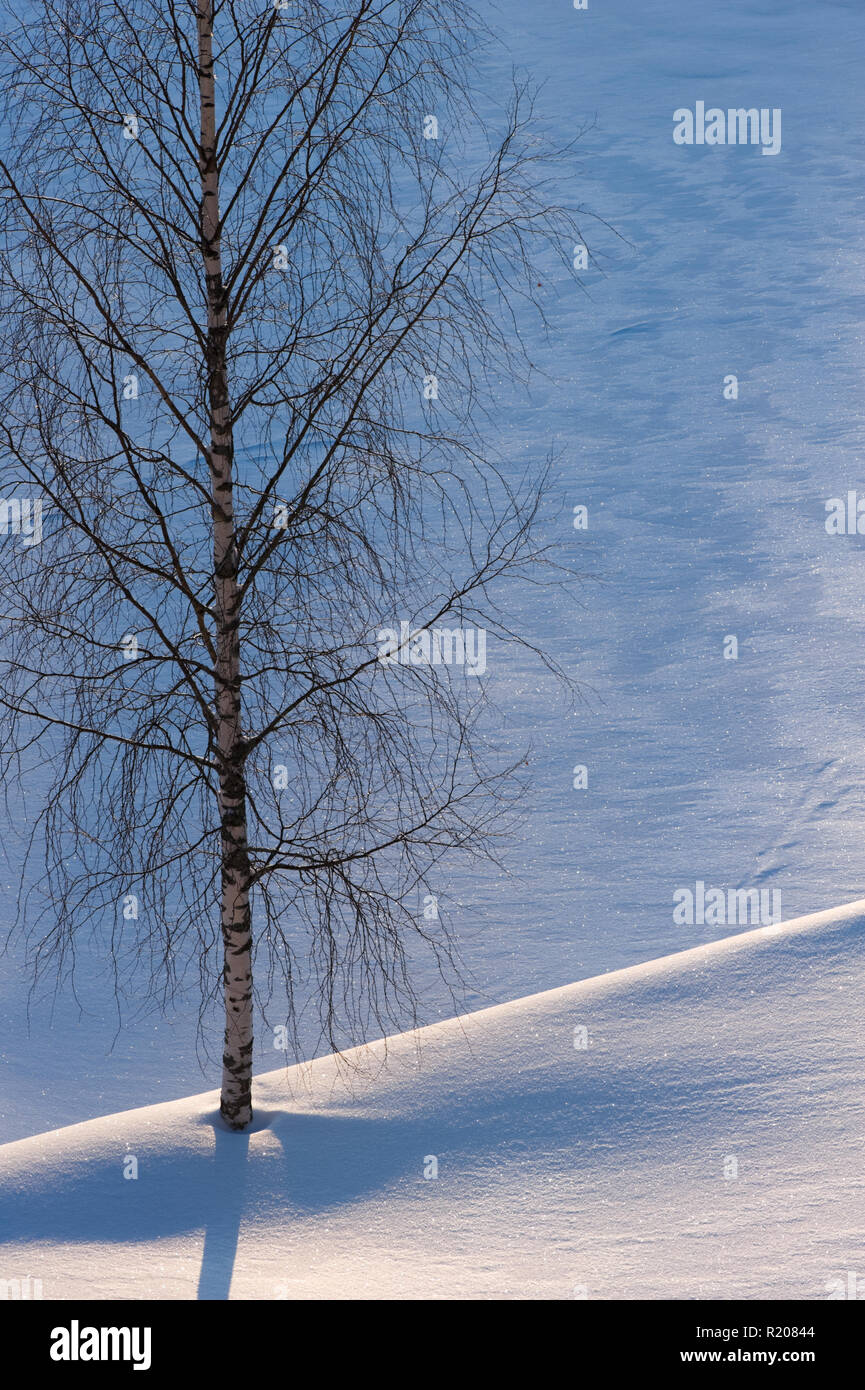 Sun casting shadow in snow hi-res stock photography and images - Alamy