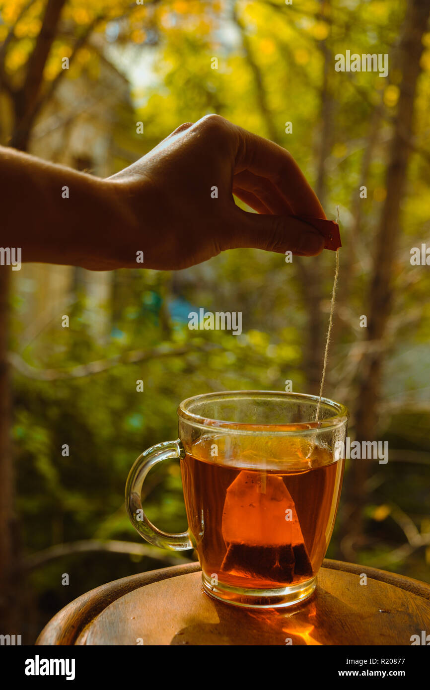 A hand lifting a glass cup of black tea on a table with autumn trees in ...