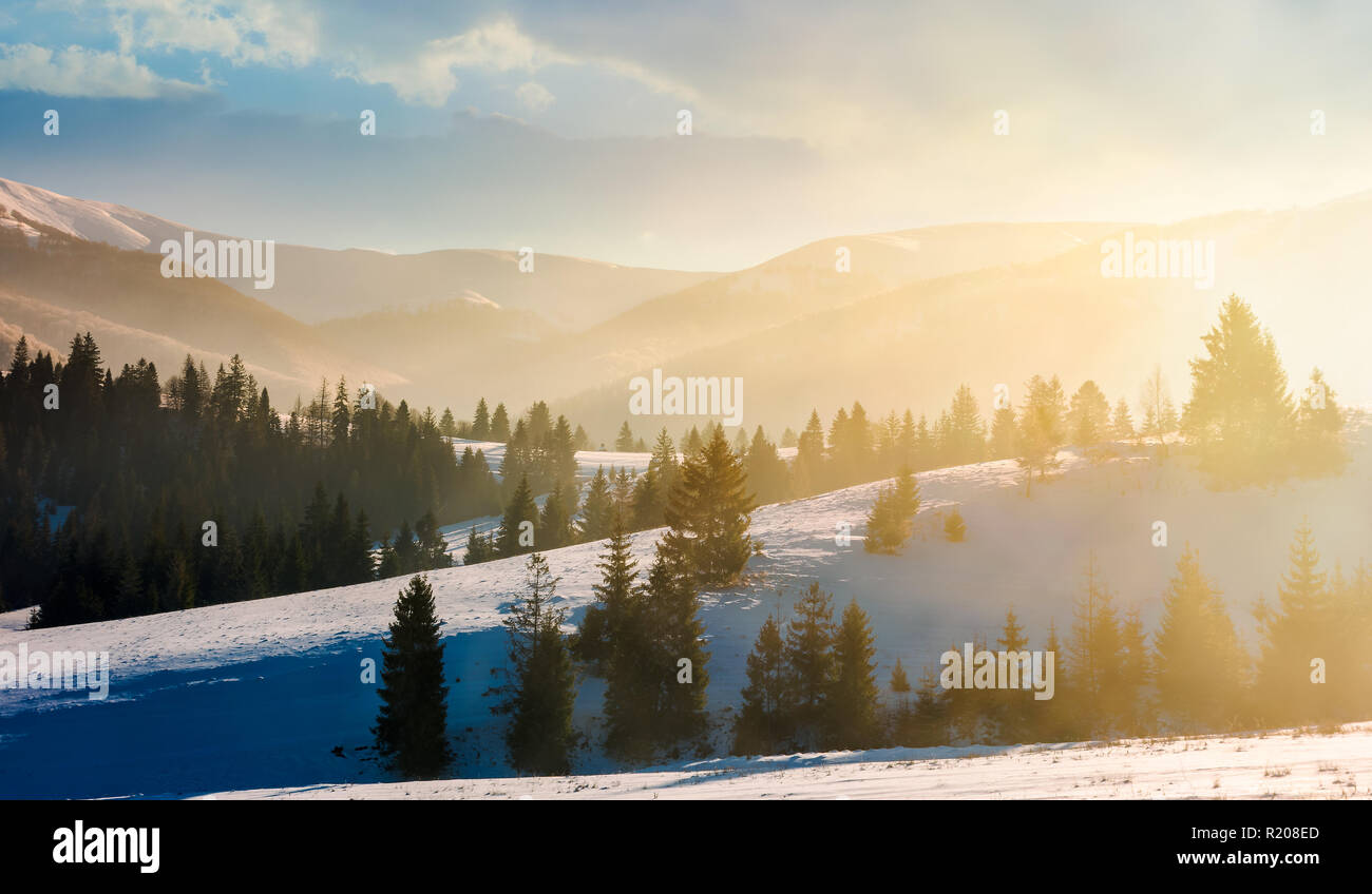 Stunning scenery glorious trees cloudy hi-res stock photography and ...