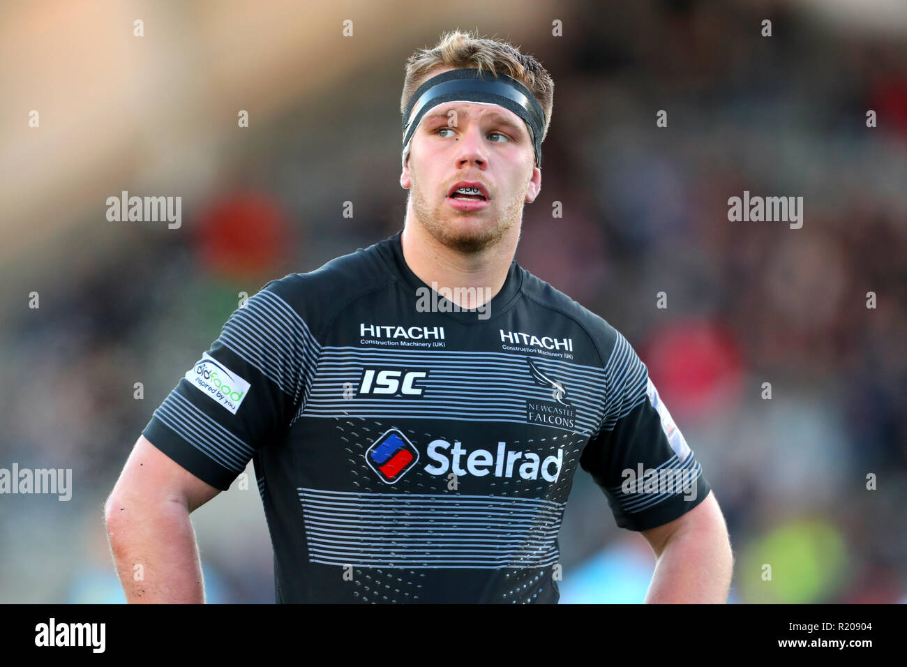 Newcastle Falcons' Callum Chick Stock Photo - Alamy