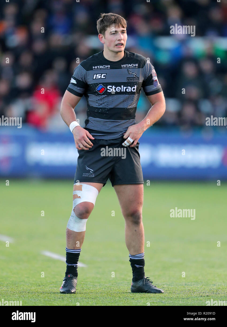 Newcastle Falcons' Ben Stevenson Stock Photo - Alamy