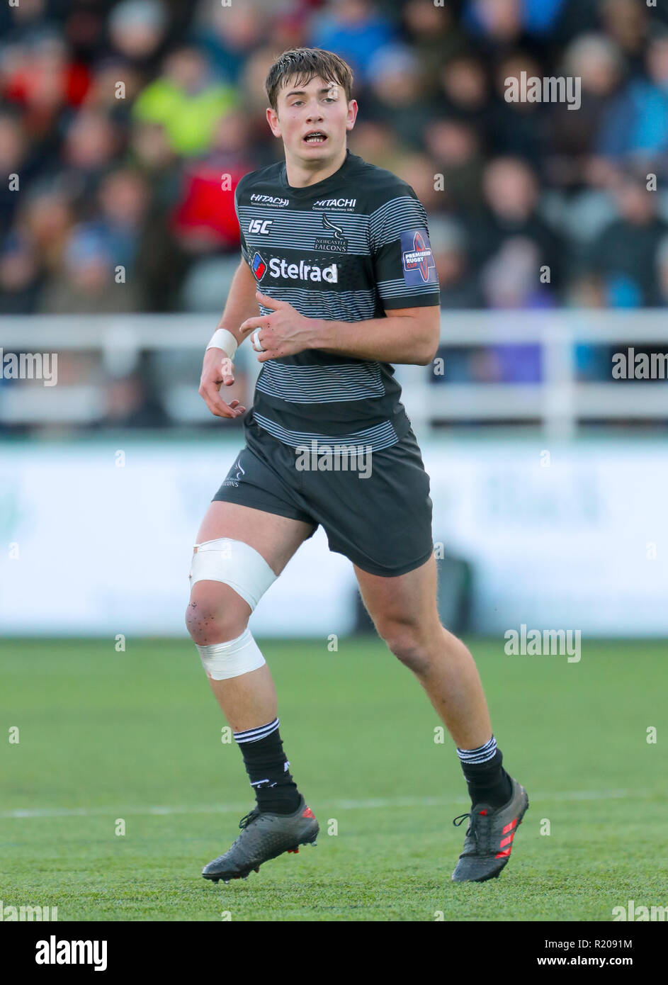Newcastle Falcons' Ben Stevenson Stock Photo - Alamy