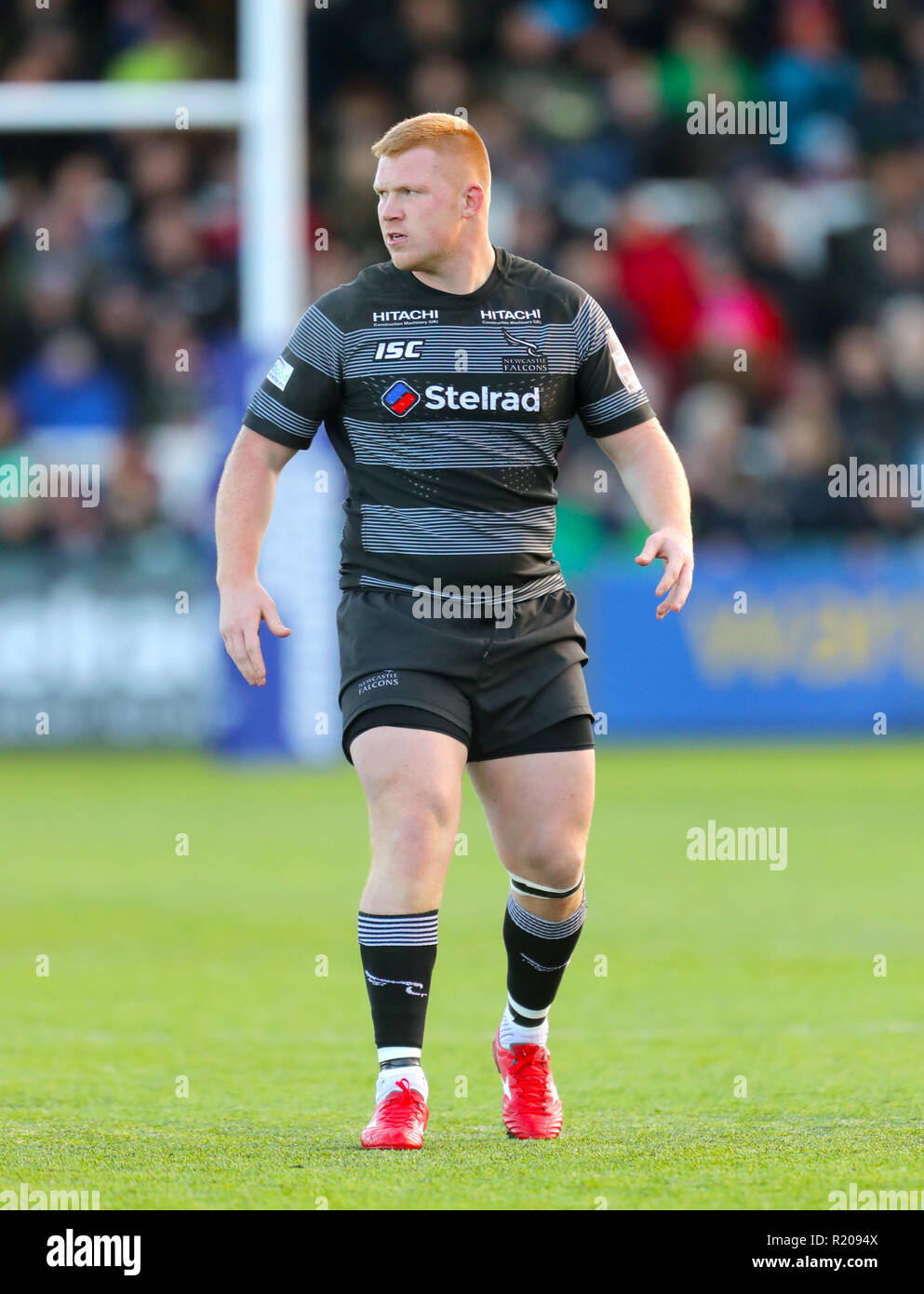 Newcastle Falcons' Trevor Davison Stock Photo - Alamy
