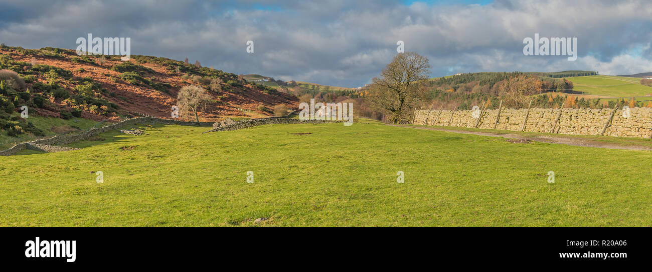 Holwick hi-res stock photography and images - Alamy