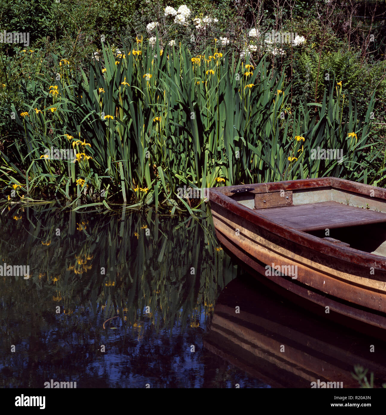 Large rowing boats hi-res stock photography and images - Alamy