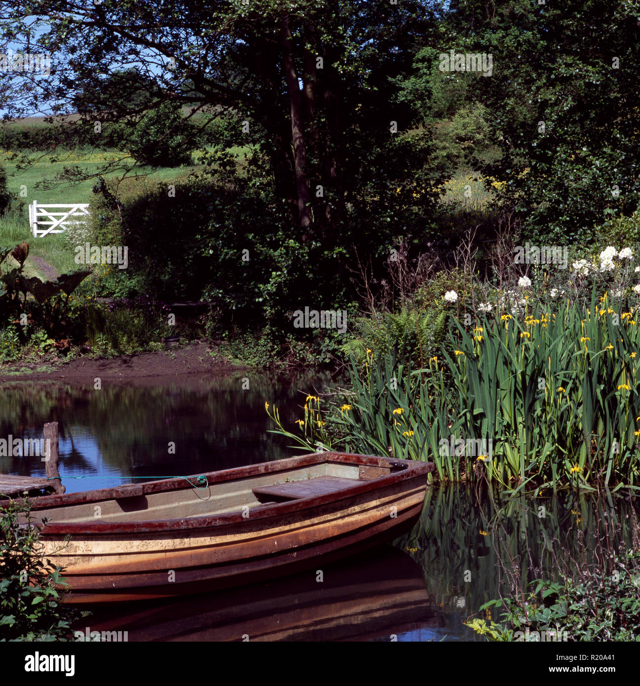 Boats in ponds hi-res stock photography and images - Alamy