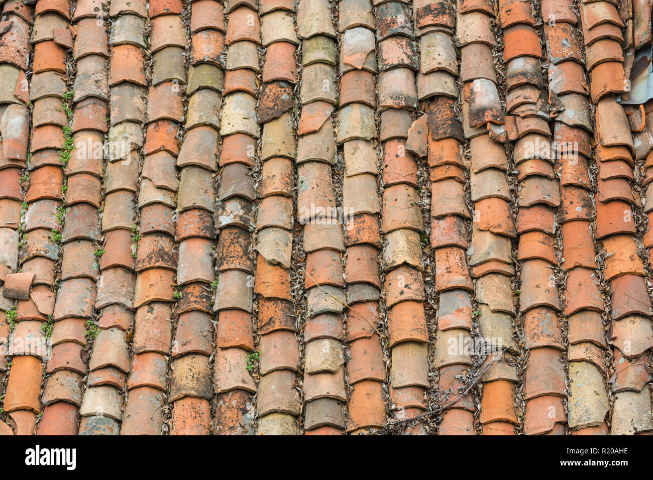 Tile texture roof hi-res stock photography and images - Alamy