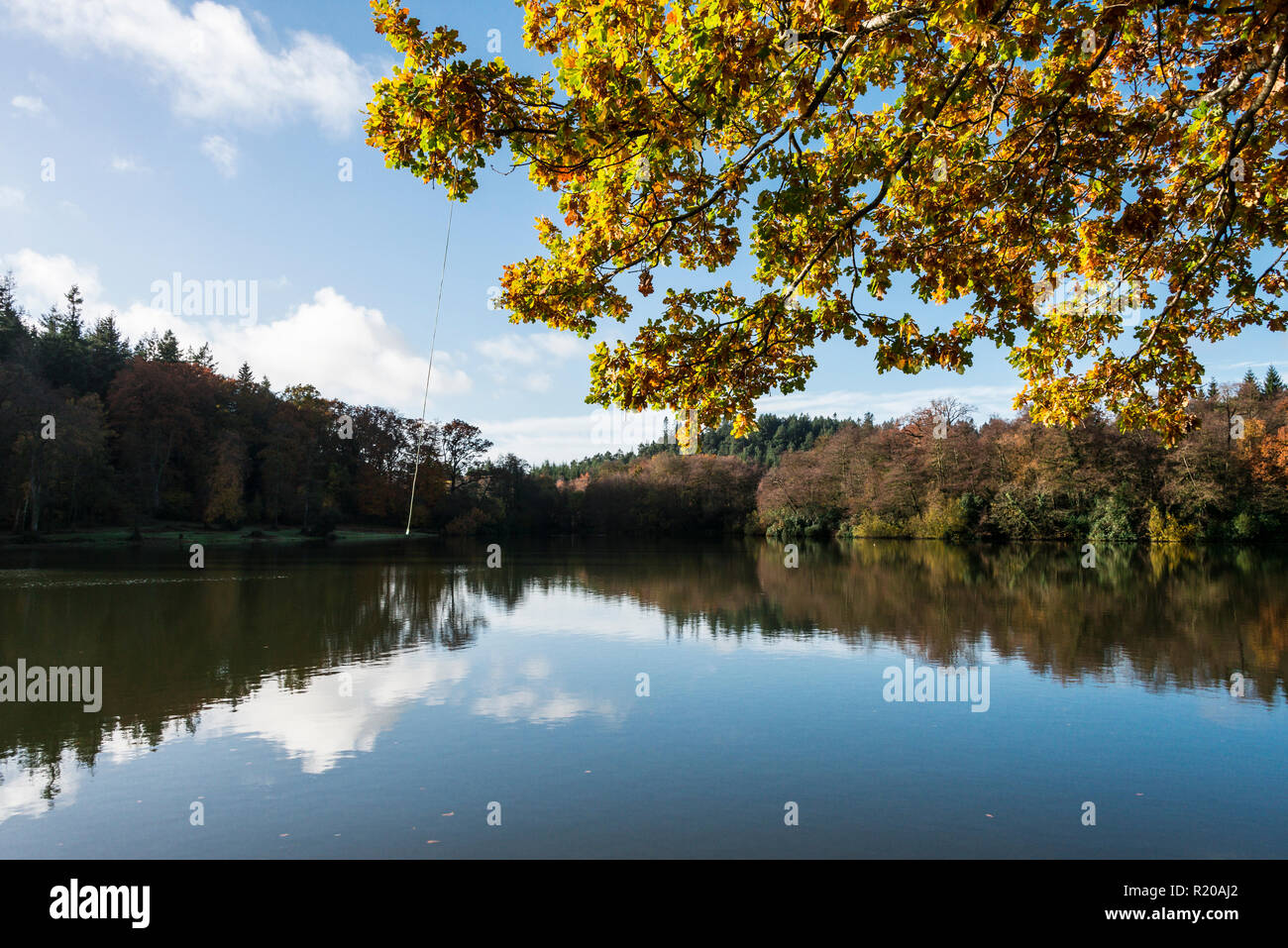 Shearwater lake in autumn Stock Photo - Alamy