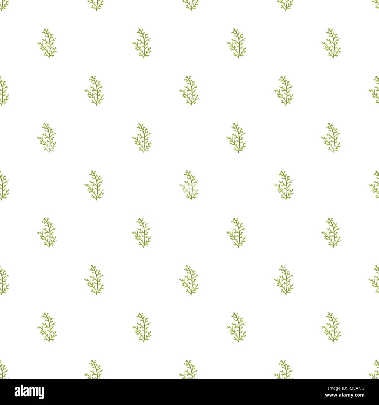 Italian cypress transparent background Stock Vector Images - Alamy