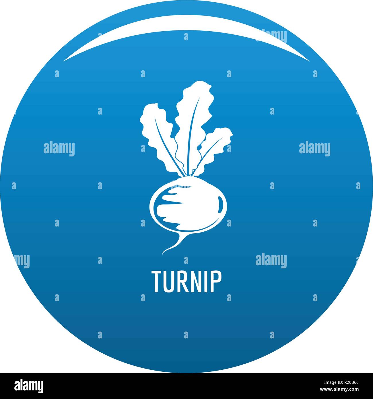 Turnip icon vector blue circle isolated on white background Stock Vector Image & Art - Alamy