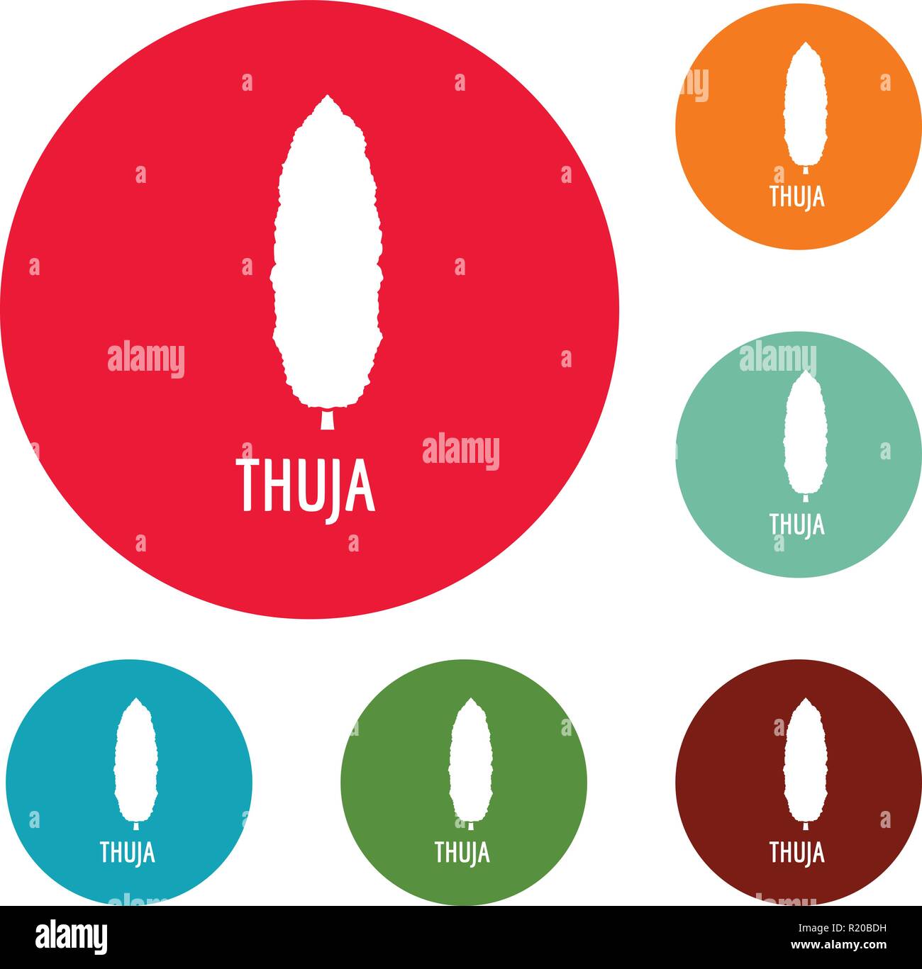 Thuja tree icons circle set vector isolated on white background Stock ...