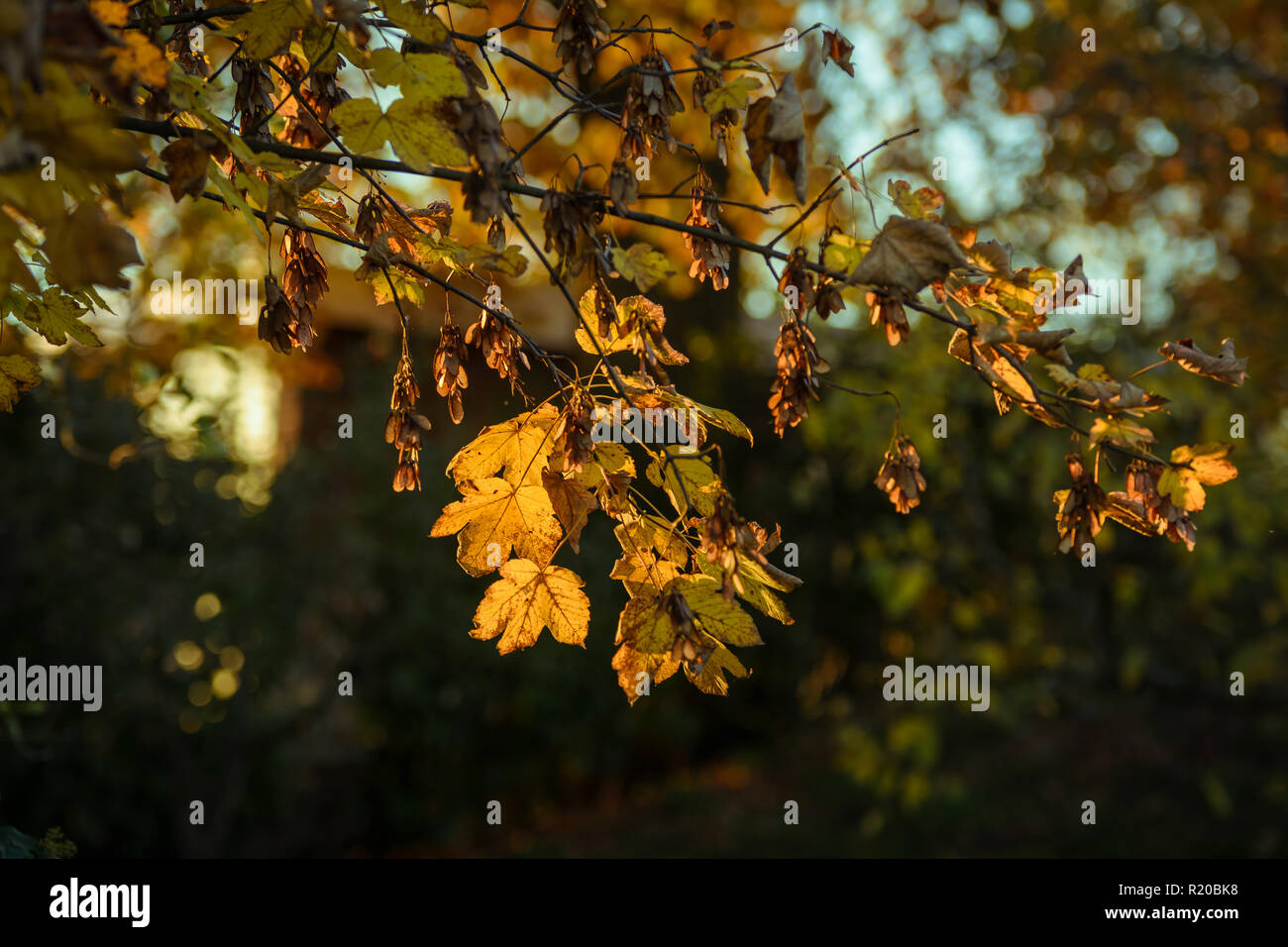 Atmospheric outdoors hi-res stock photography and images - Alamy