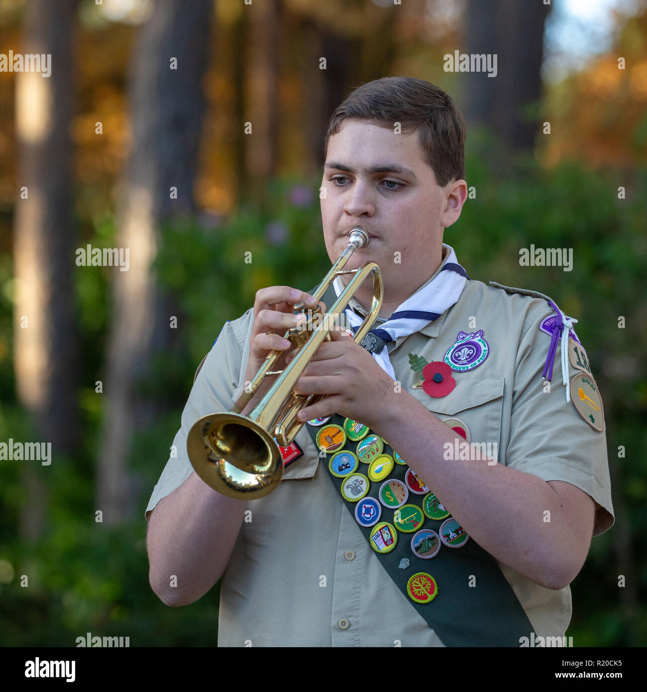 Ww2 veterans monuments hi-res stock photography and images - Alamy
