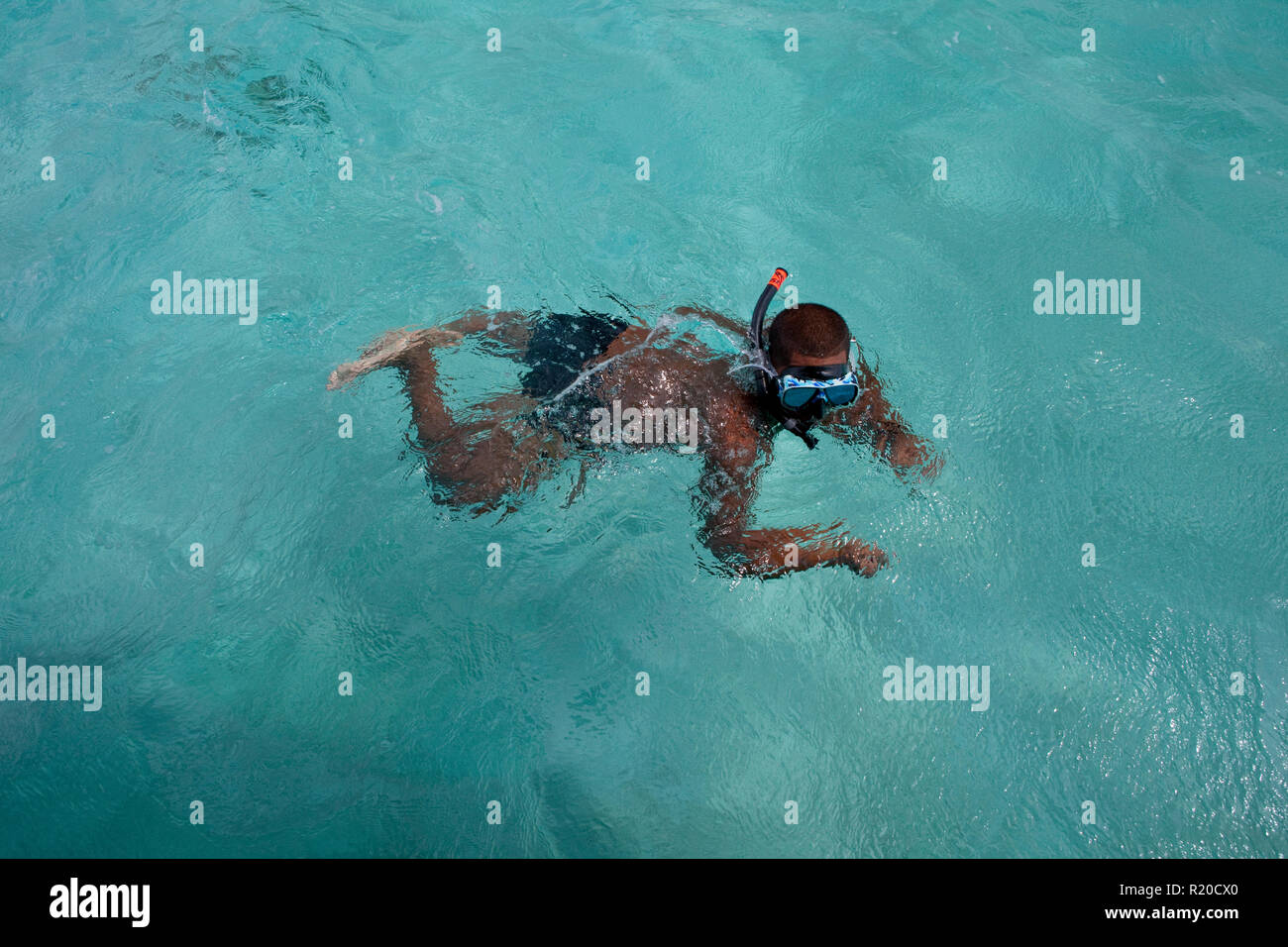 Snorkeler in Muri Lagoon, Rarotonga, Cook Islands Stock Photo - Alamy