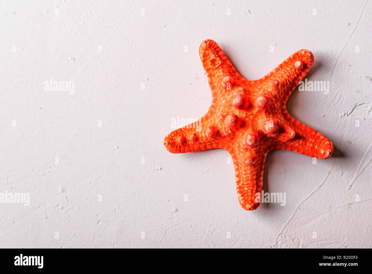 Dried Starfish Stock Photos & Dried Starfish Stock Images - Alamy