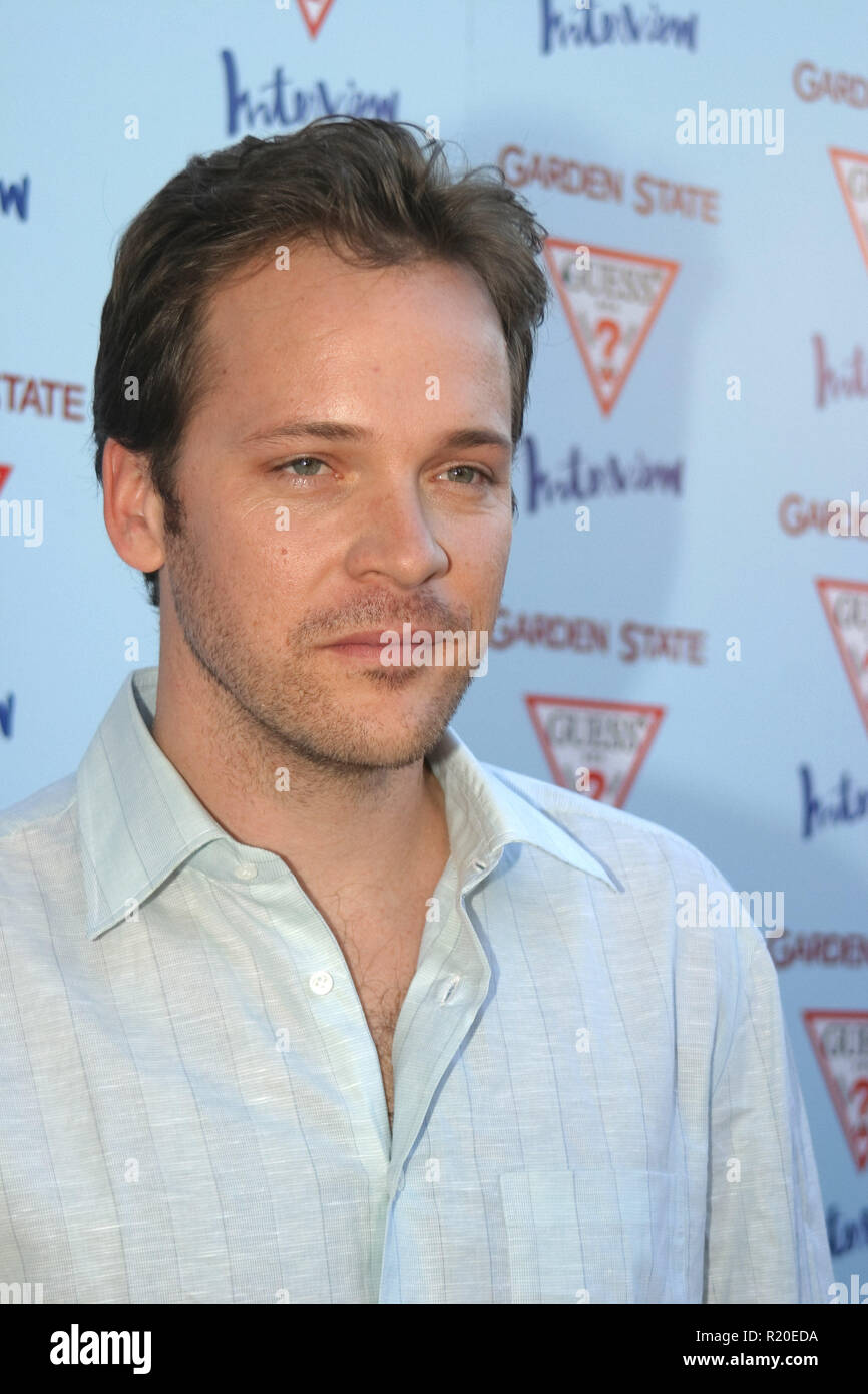 Peter Sarsgaard Garden State