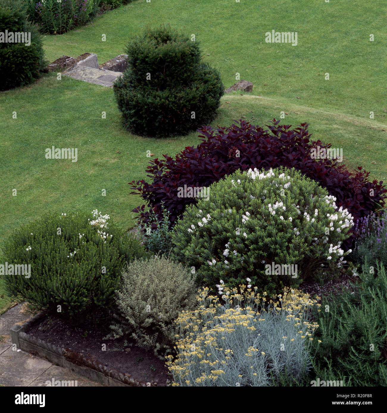 Hebe border hi-res stock photography and images - Alamy
