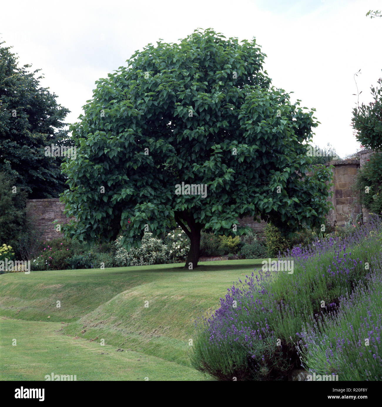 Large gardens hi-res stock photography and images - Alamy