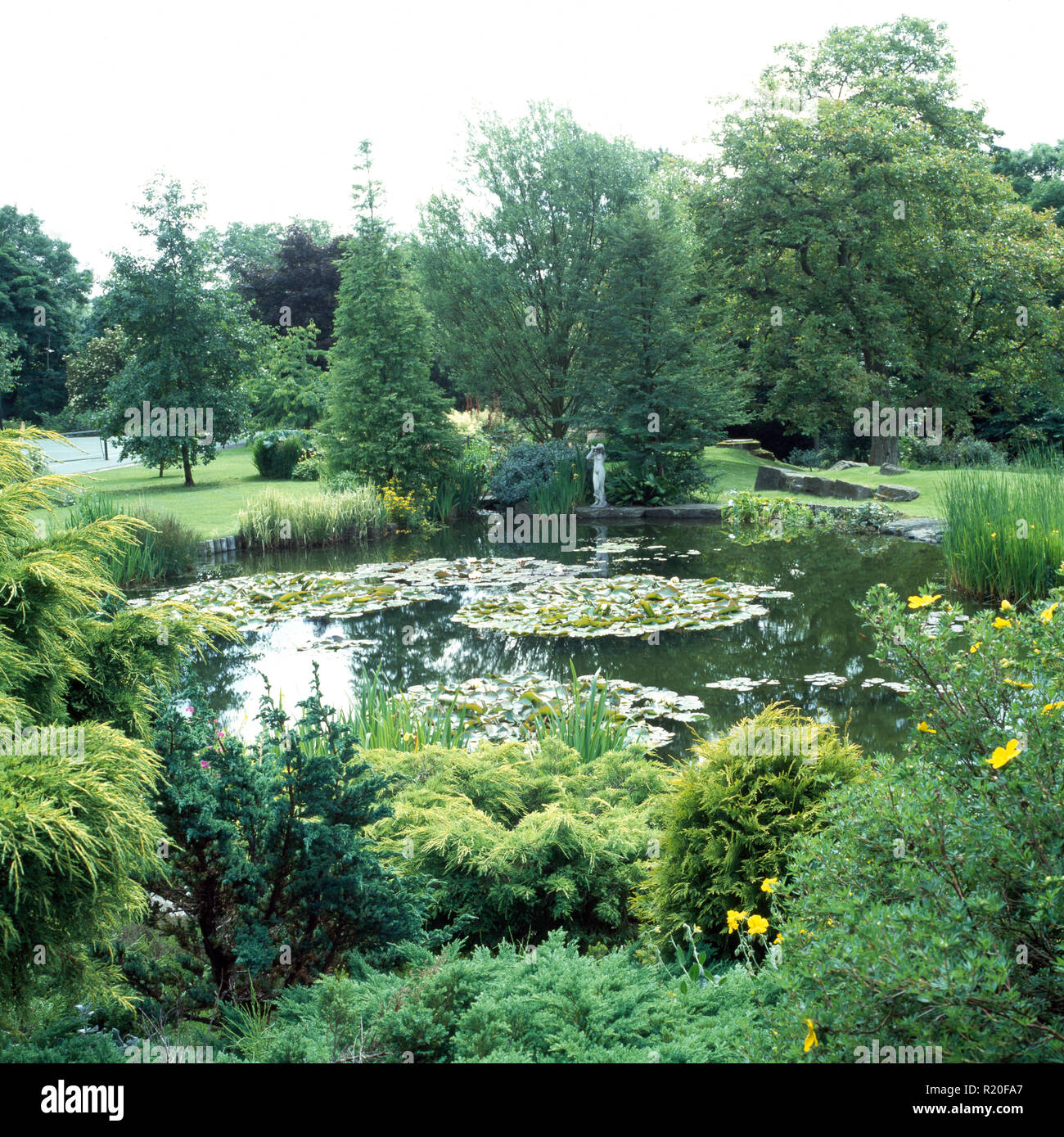 Summer ponds hi-res stock photography and images - Alamy