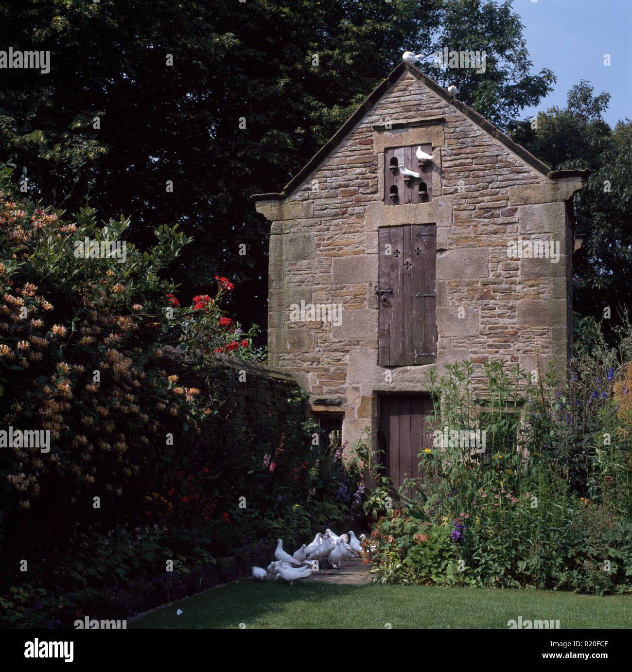 Large stone dovecote and white doves in country garden Stock Photo - Alamy