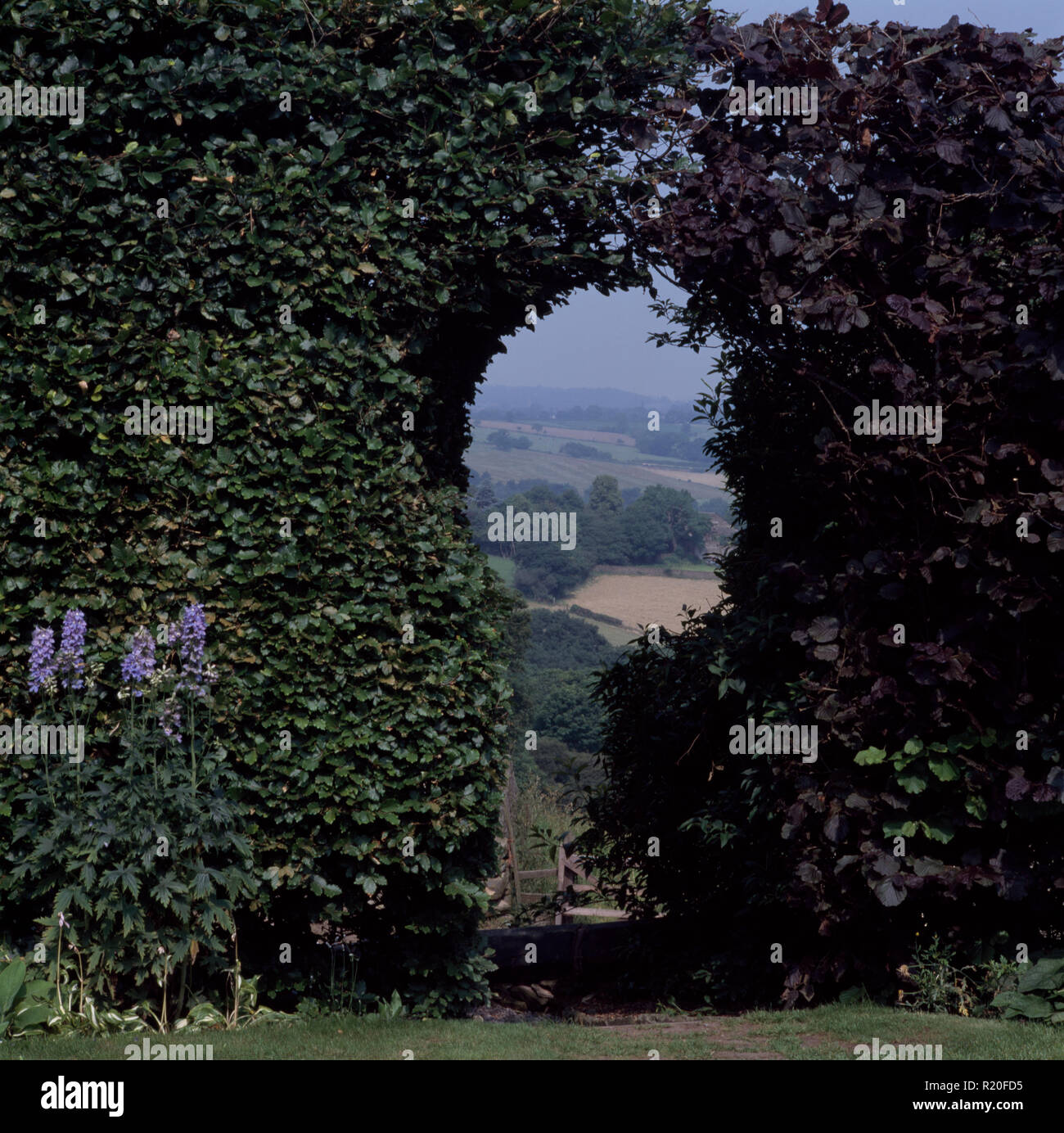 Opening in hedge hi-res stock photography and images - Alamy