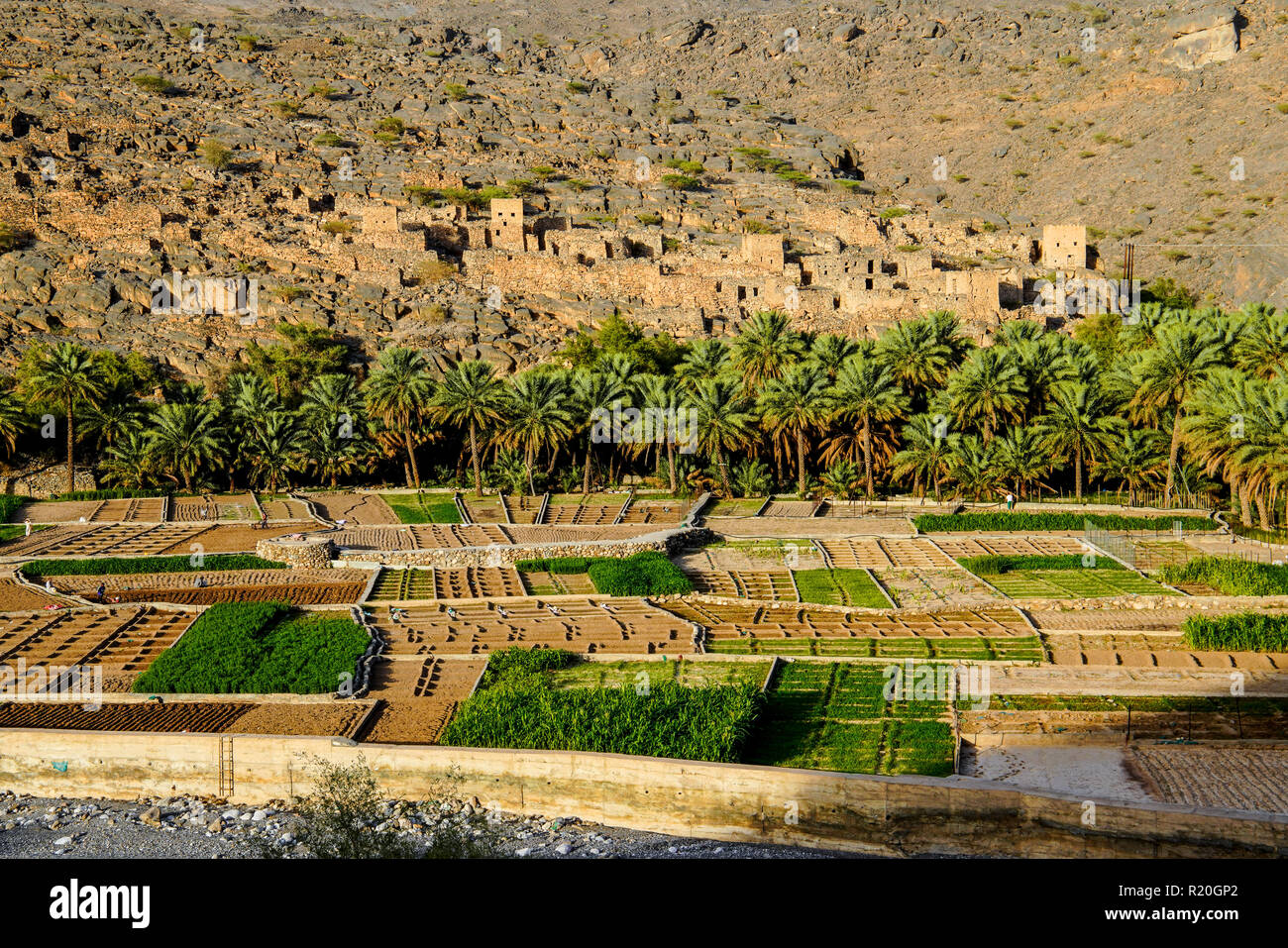 Arabia oman al hamra loam hi-res stock photography and images - Alamy